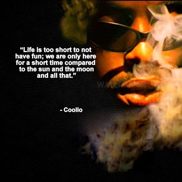 Wall Decor | Singer Coolio Quote Life Is Too Short To Not Have Fun ...